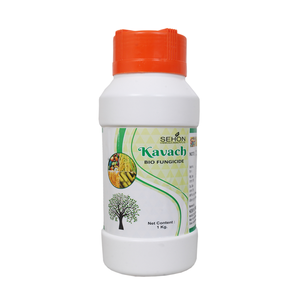 Kavach